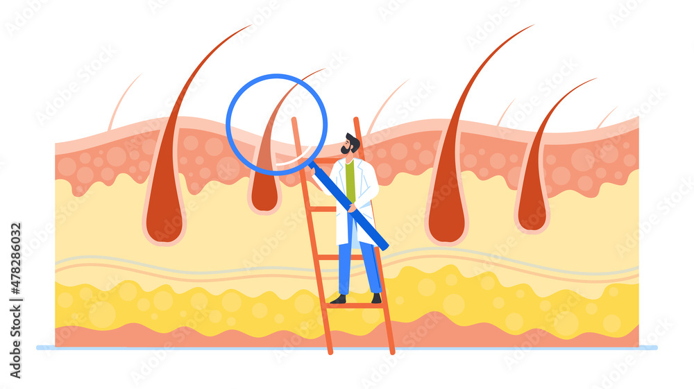 Profession of Trichologist Concept. Tiny Doctor Character Check Health ...