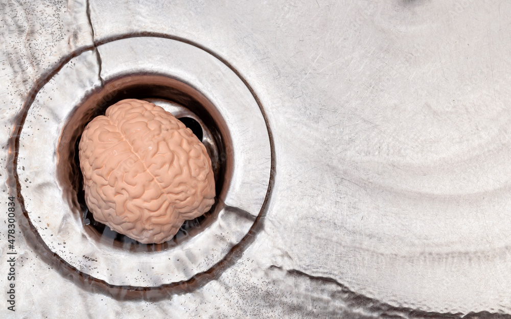 Brain drain, knowledge and creativity waste and loss of intellect ...