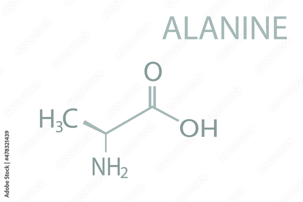 Alanine molecular skeletal chemical formula. Stock Vector | Adobe Stock