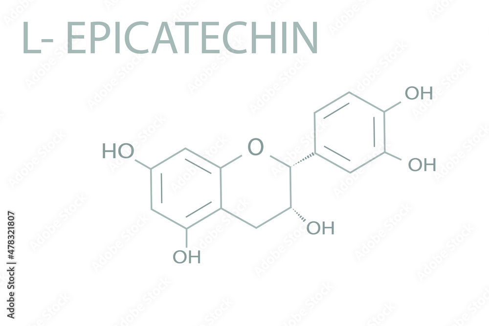 L-epicatechin molecular skeletal chemical formula. Stock Vector | Adobe ...