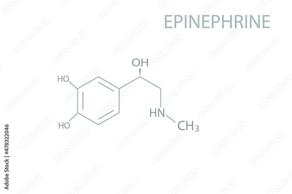 Epinephrine molecular skeletal chemical formula. Stock Vector | Adobe Stock