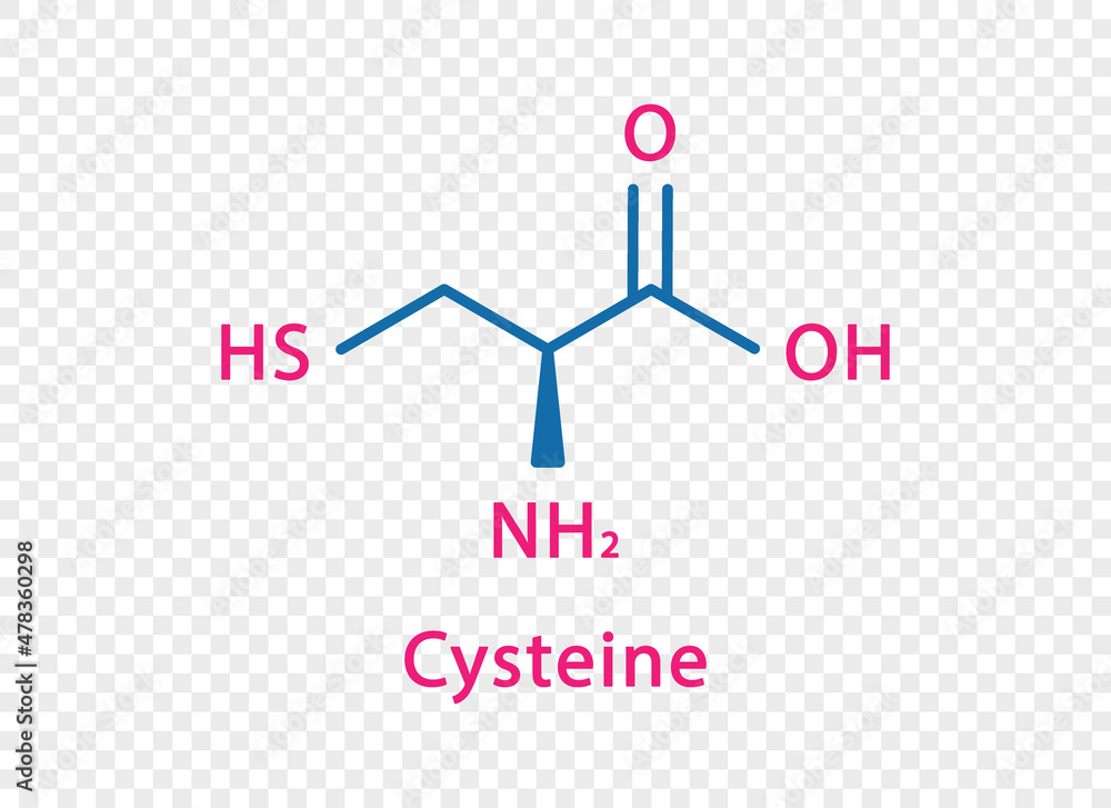 Cysteine chemical formula. Cysteine structural chemical formula ...