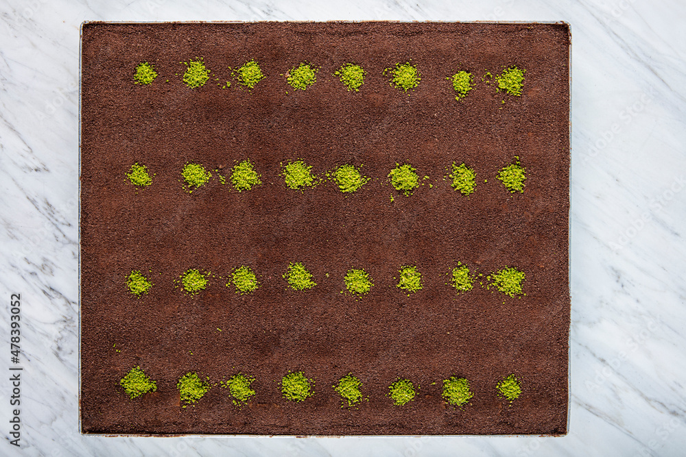 Cold baklava with milk. Cold baklava in the plate (Soguk baklava ...