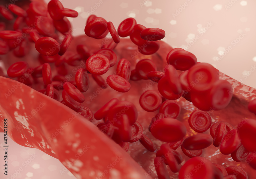 Red blood cells inside an artery. Scientific and medical ...