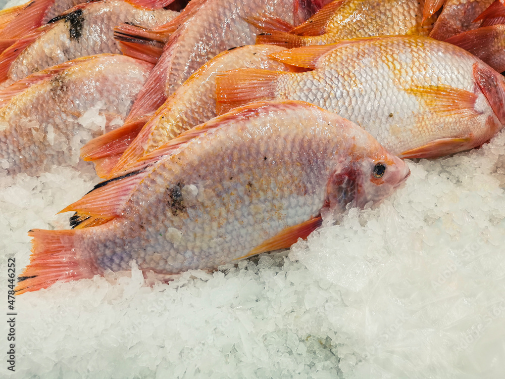 Red Tilapia Fish for sell on the ice at fresh market. Red Tilapia (Thai ...