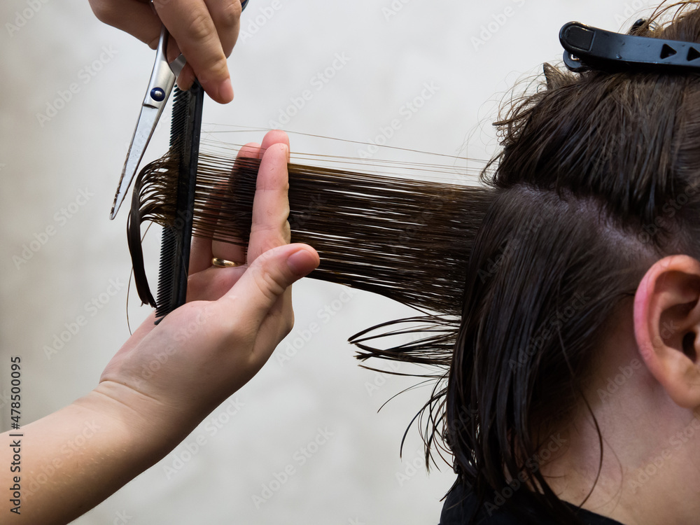Split Ends Before And After Cut