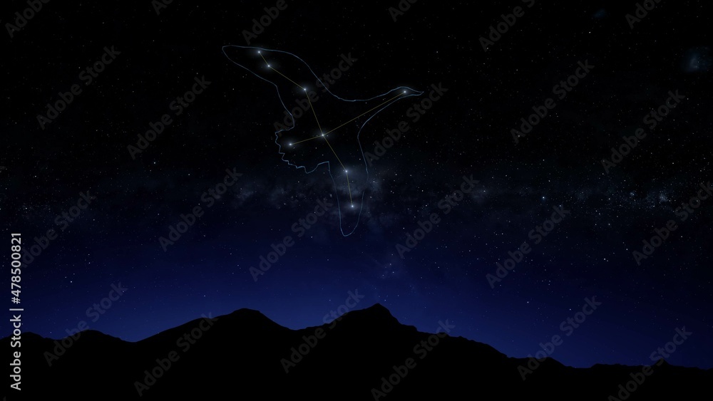 Cygnus Constellation in outer space. Cygnus constellation stars with ...