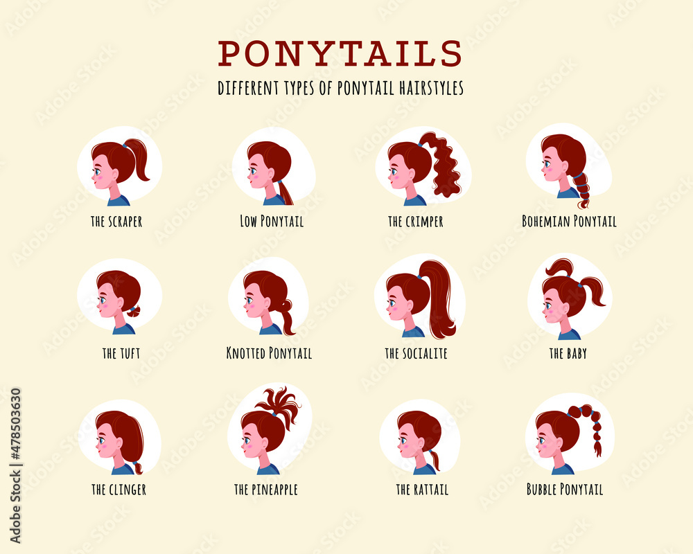 Set of hairstyles ponytails. Different types of ponytail hairstyles ...