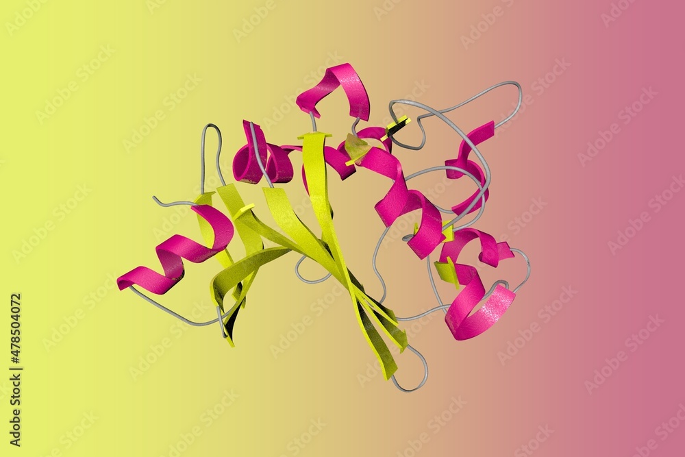 Crystal structure of the fibrinogen-like domain of human angiopoietin-4 ...