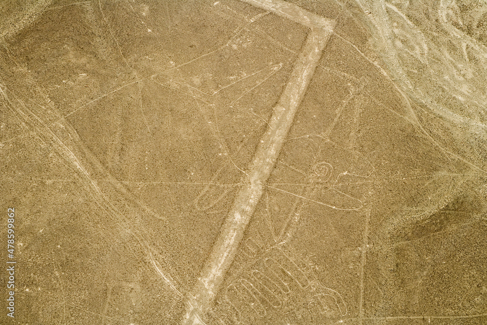 Nazca Lines Geoglyphs UNESCO Site Peru Stock Photo | Adobe Stock