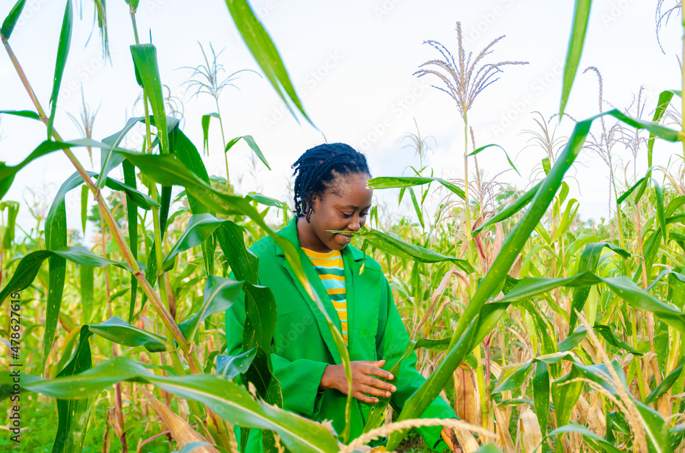 pretty agriculturist smiles as working on her crops Stock Photo | Adobe ...