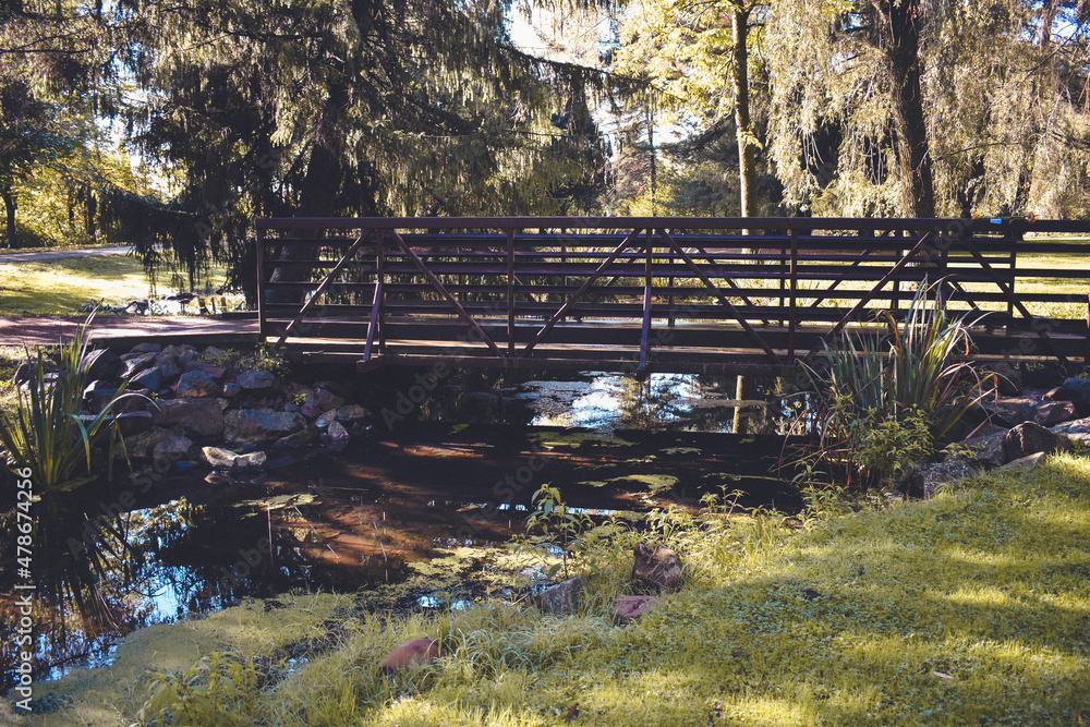 Rustic metal footbridge over shallow creek. Lots of green foliage along ...