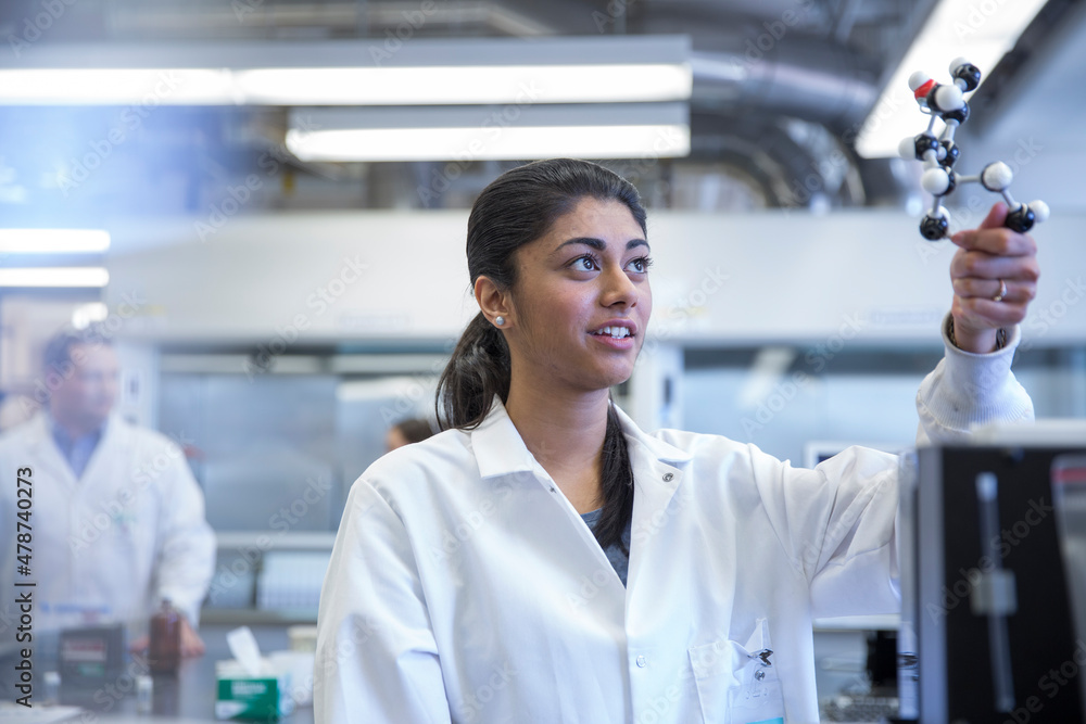 Scientist examining molecule model in laboratory Stock Photo | Adobe Stock