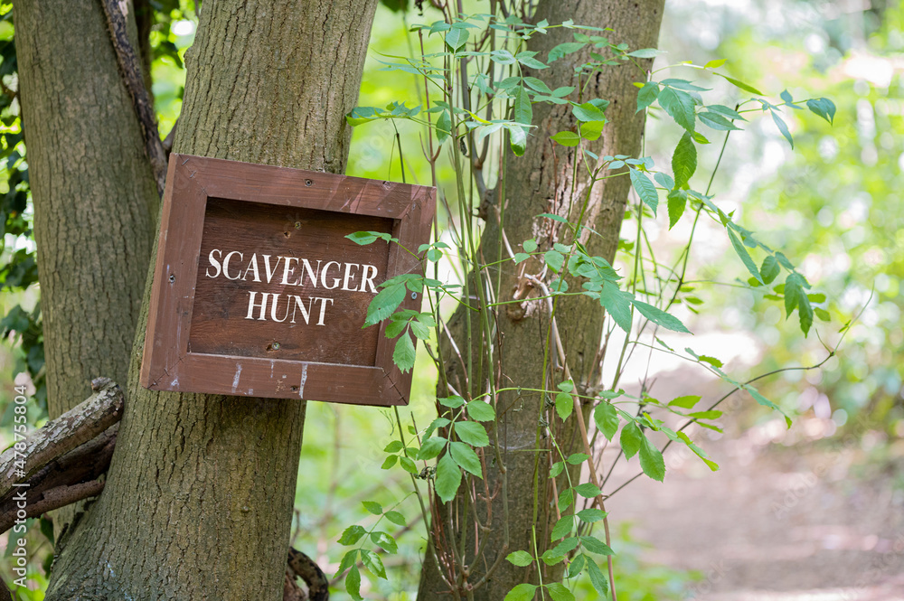 Scavenger hunt sign in wooded forest woodland on wooden framed picture ...