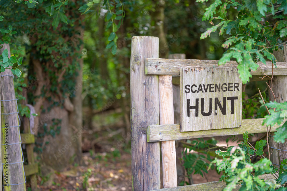 Scavenger hunt sign in forest woodland on wood background Stock Photo ...