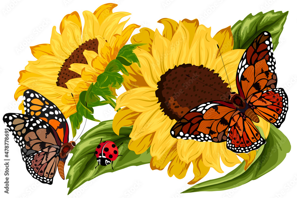 Bright butterflies on sunflowers.Multicolored butterflies and ...