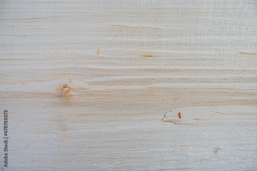 Fresh wood log texture background. Sycamore maple, Acer pseudoplatanus ...