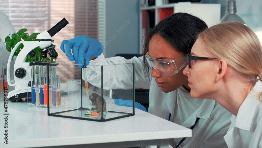 Two multiracial female scientists showing amazement during providing ...