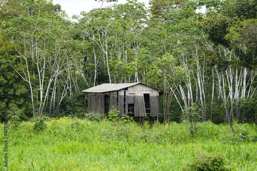 Wooden houses built on high stilts called in Portuguese palafitas. Location: between Mamori Lake ...