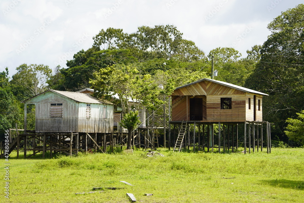 Wooden houses built on high stilts called in Portuguese palafitas ...