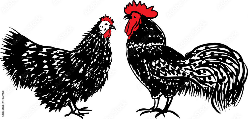 Cute simple hen and roaster sketch vector Stock Vector | Adobe Stock