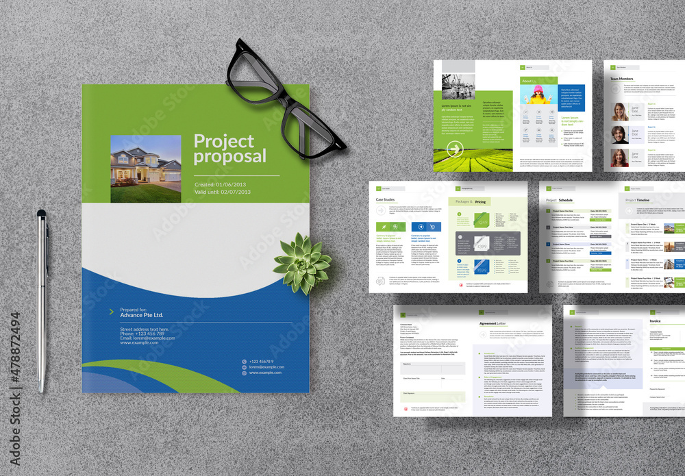 Project Proposal Layout Stock Template | Adobe Stock