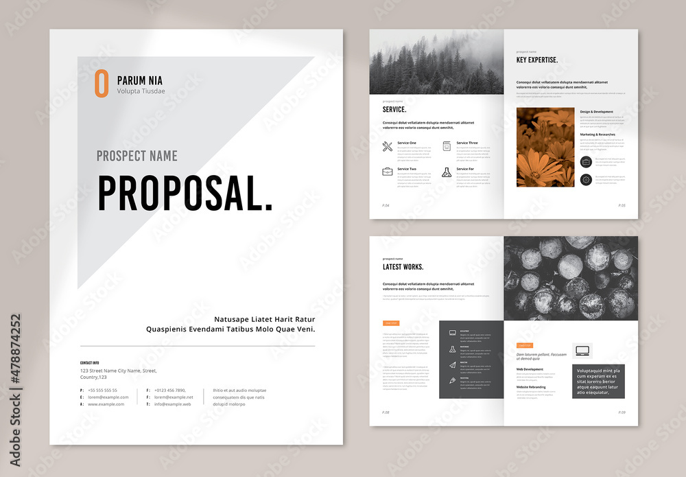 Proposal Layout Stock Template | Adobe Stock