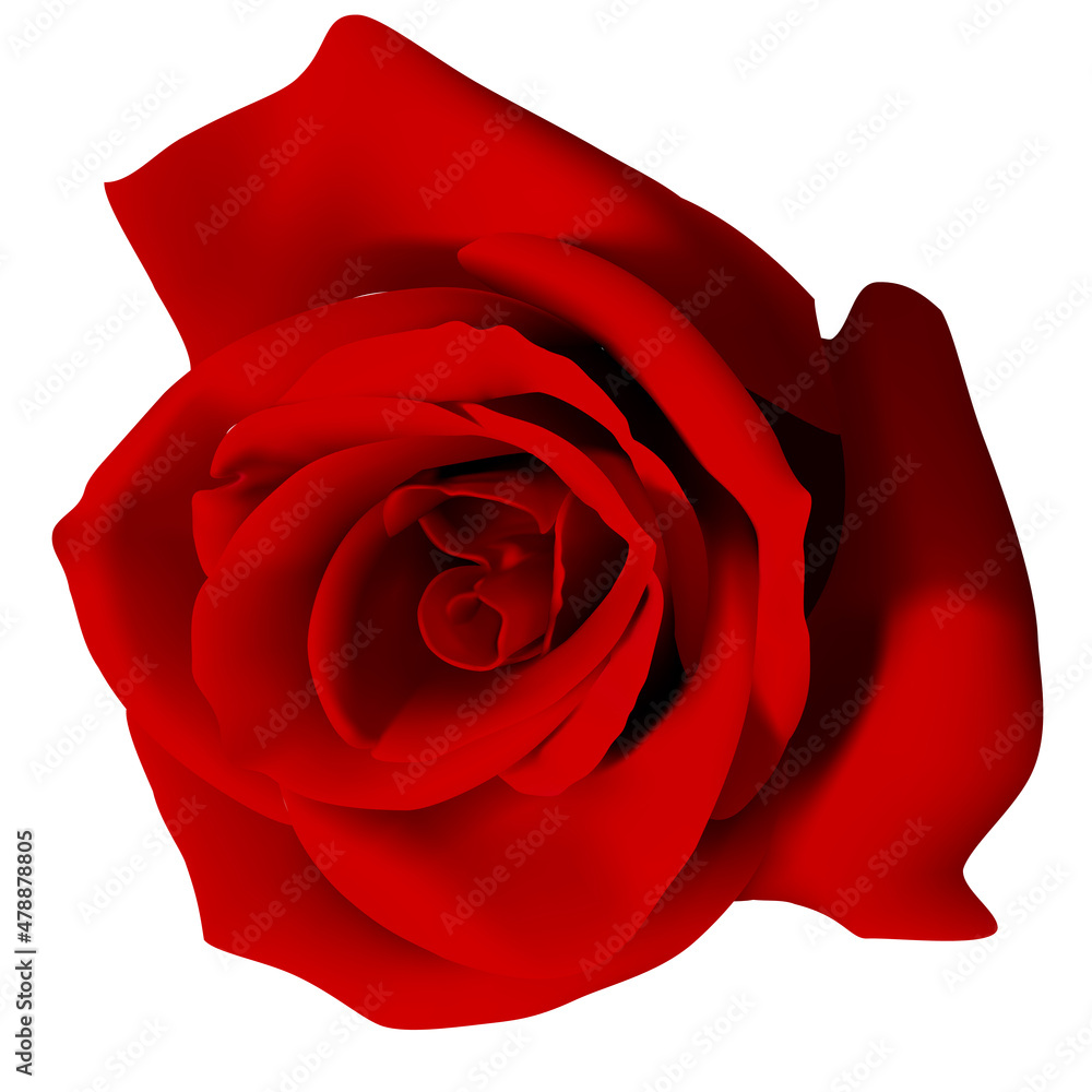 red rose Stock Vector | Adobe Stock