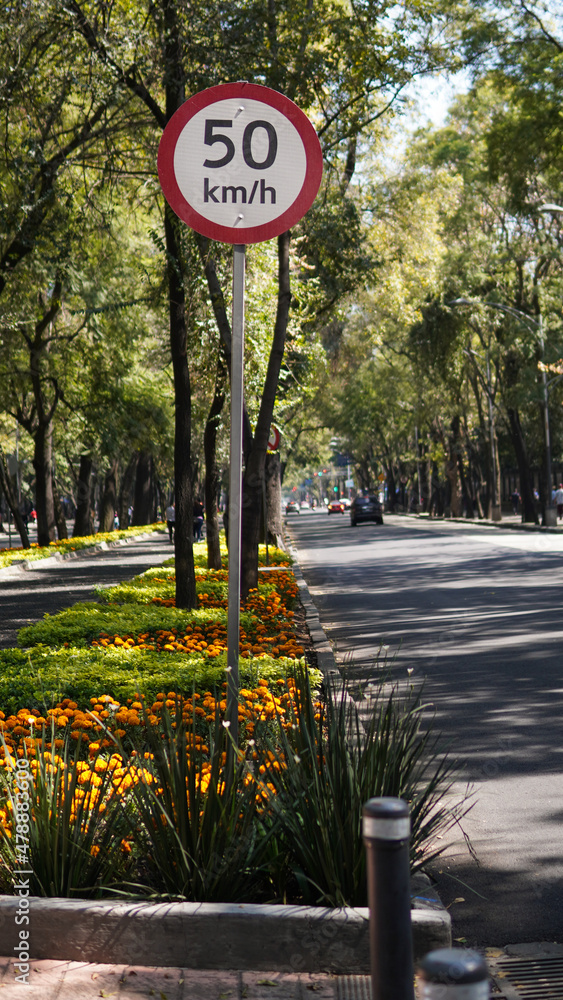 Speed limit sign in the street, Chapultepec Mexico City Stock Photo ...