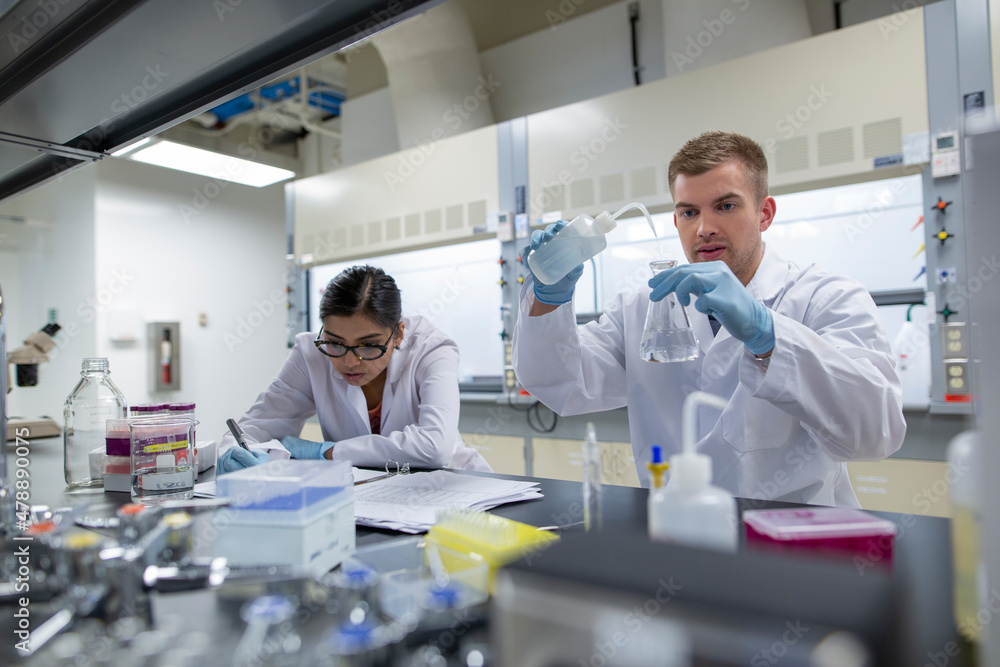 Scientists conducting scientific experiment in laboratory Stock Photo | Adobe Stock
