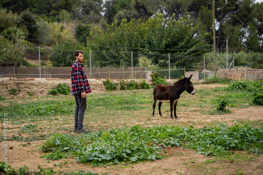 Farm keeper with his donkey Stock Photo | Adobe Stock