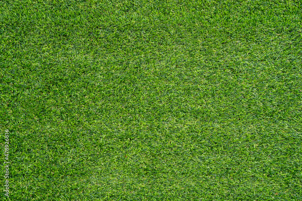 Green grass texture for background. Green lawn pattern and texture ...
