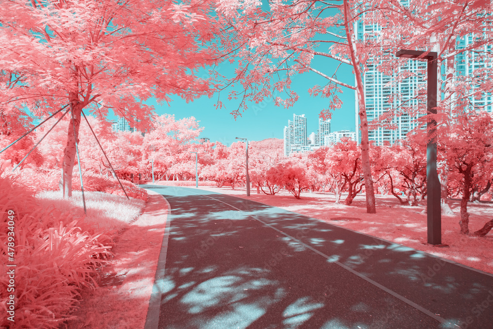 Infrared photography of road with trees Stock Photo | Adobe Stock