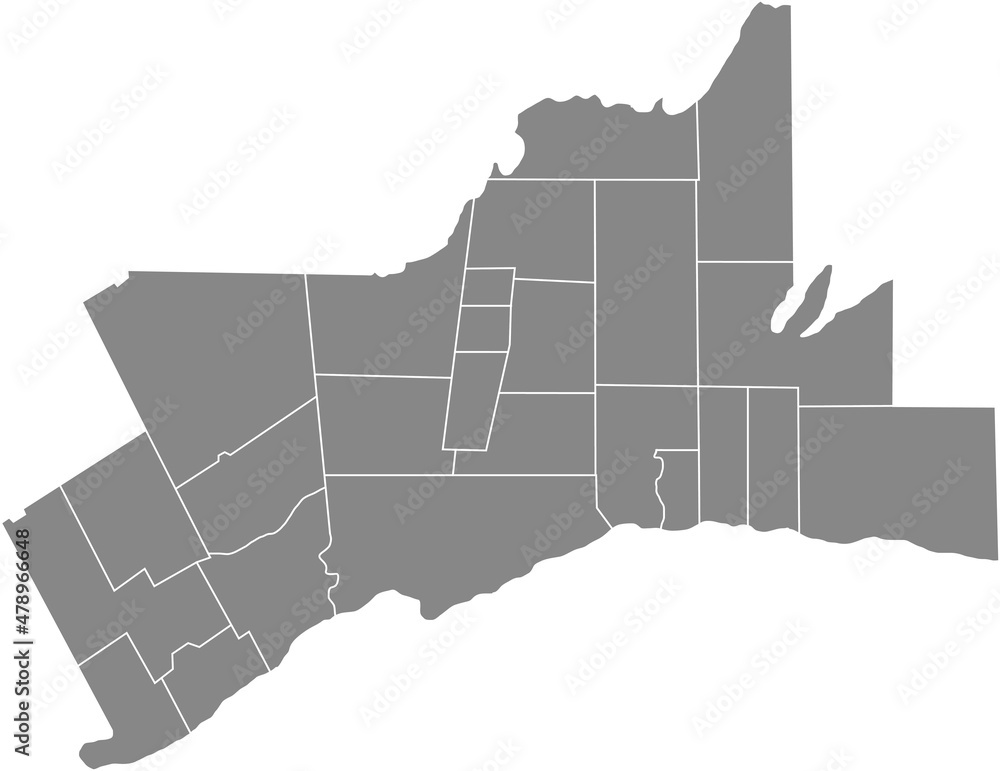 Gray flat blank vector administrative map of the municipalities of ...