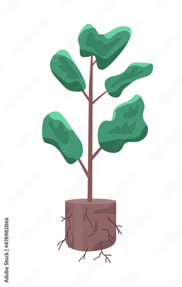 Plant for cultivating semi flat color vector object. Realistic item on ...