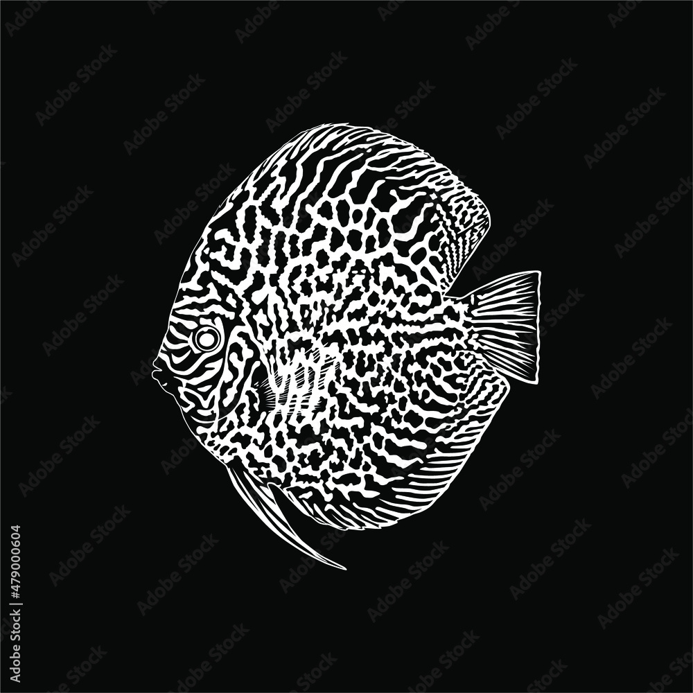 Symphysodon, colloquially known as Discus Fish, Silhouette Illustration ...