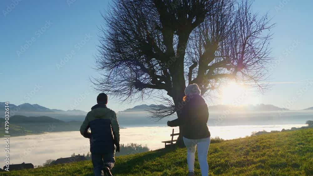 Two People Walking Together Reaching Mountain Peak Mountain Tree ...