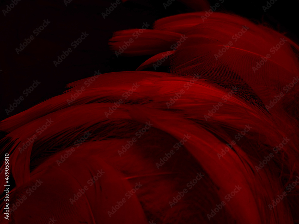 Beautiful abstract red feathers on black background, yellow feather ...