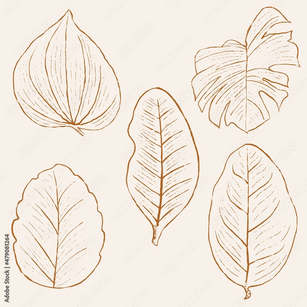 hand drawn leaf line art, hand drawn nature painting. Free hand sketch ...