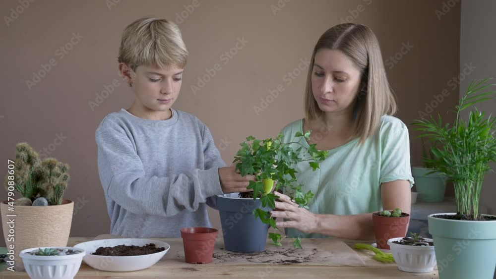 Video „Boy planting a flower in a pot with mother together. Child ...