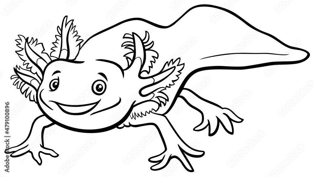 cartoon axolotl animal character coloring book page Stock Vector ...