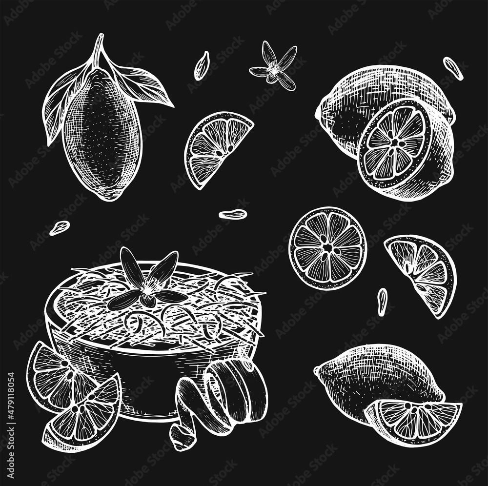 lemon slice vector sketch. lemon set drawing hand. lemon zest in plate ...