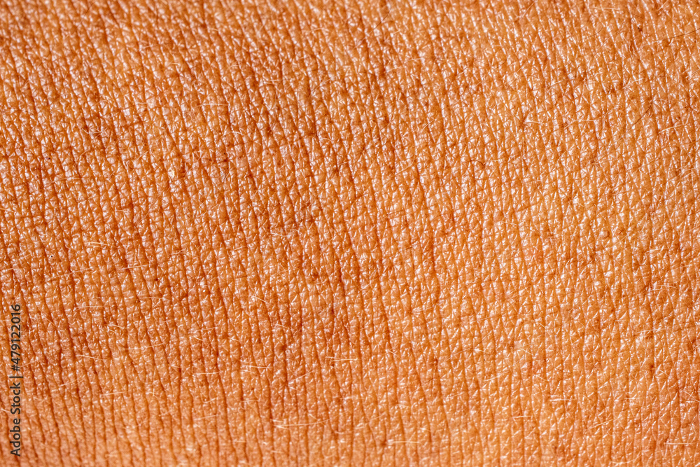 tanned human skin close up abstract background Stock 写真 | Adobe Stock