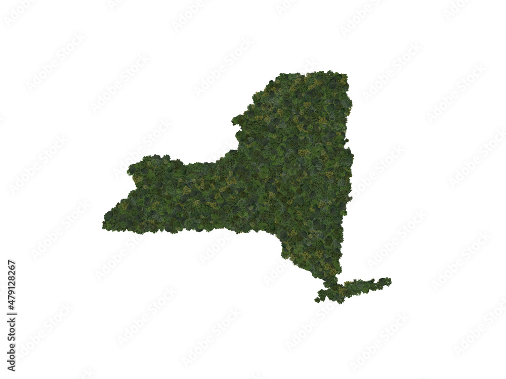 Top view of a forest of trees forming the map of New York State, USA ...