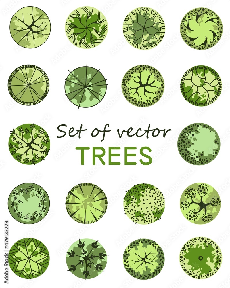 Trees for the master plan. Tree for architectural floor plans ...