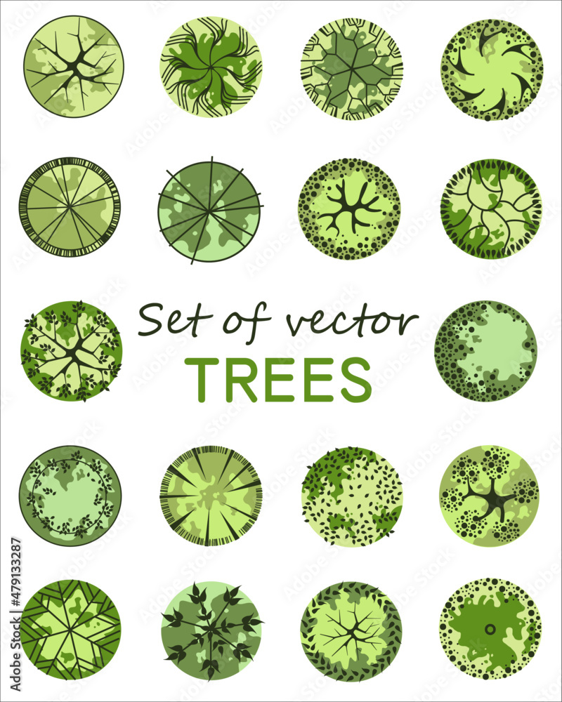 Trees for the master plan. Tree for architectural floor plans ...