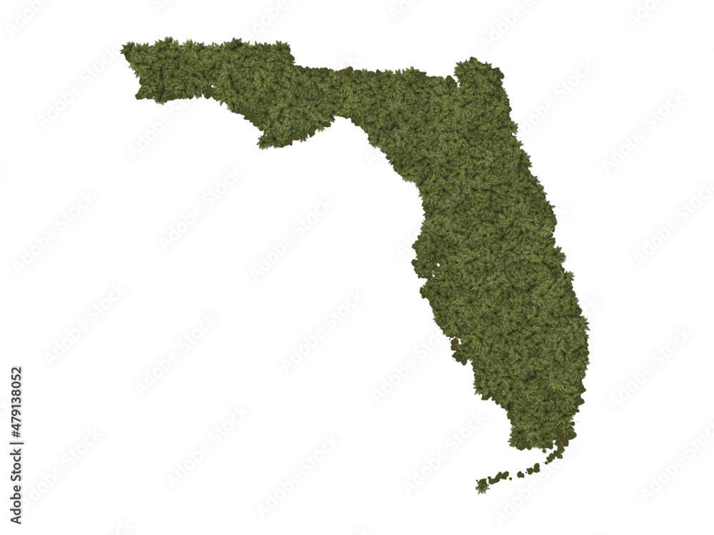 Tropical Coconut trees forming the map of Florida, USA. Top view ...