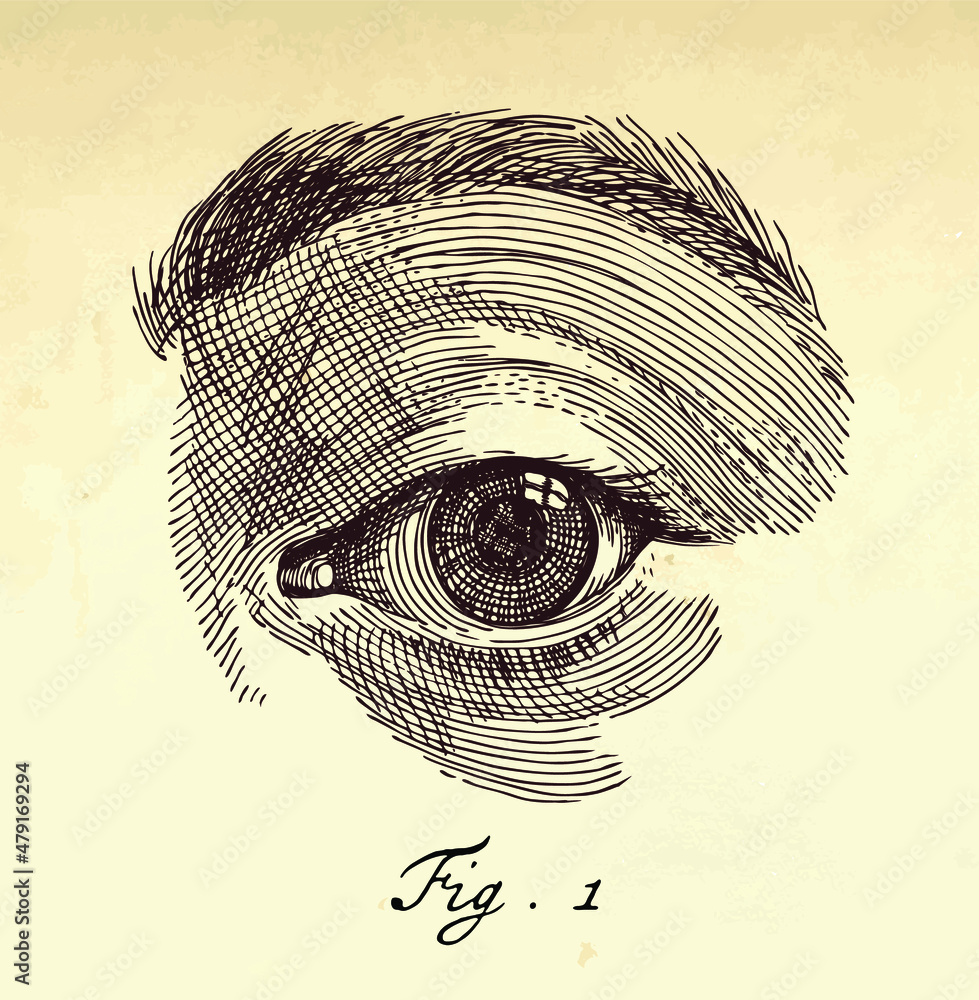Vector human eye illustration in vintage etching halftone style. Stock ...