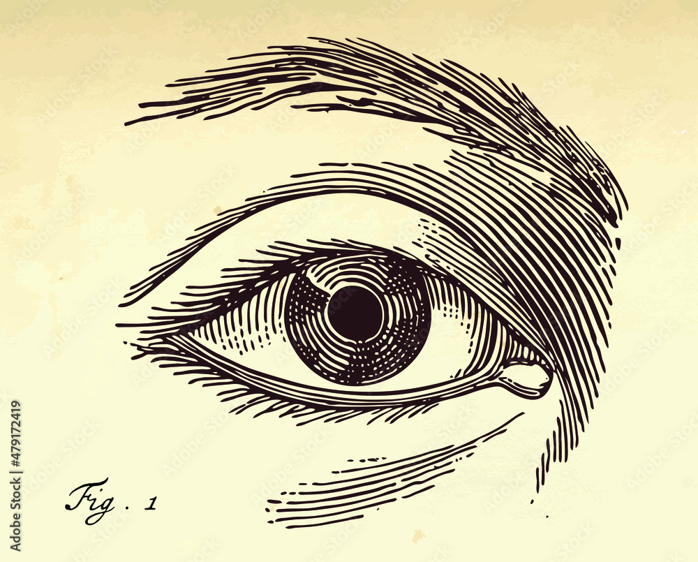 Vector human eye illustration in vintage etching halftone style. Stock ...