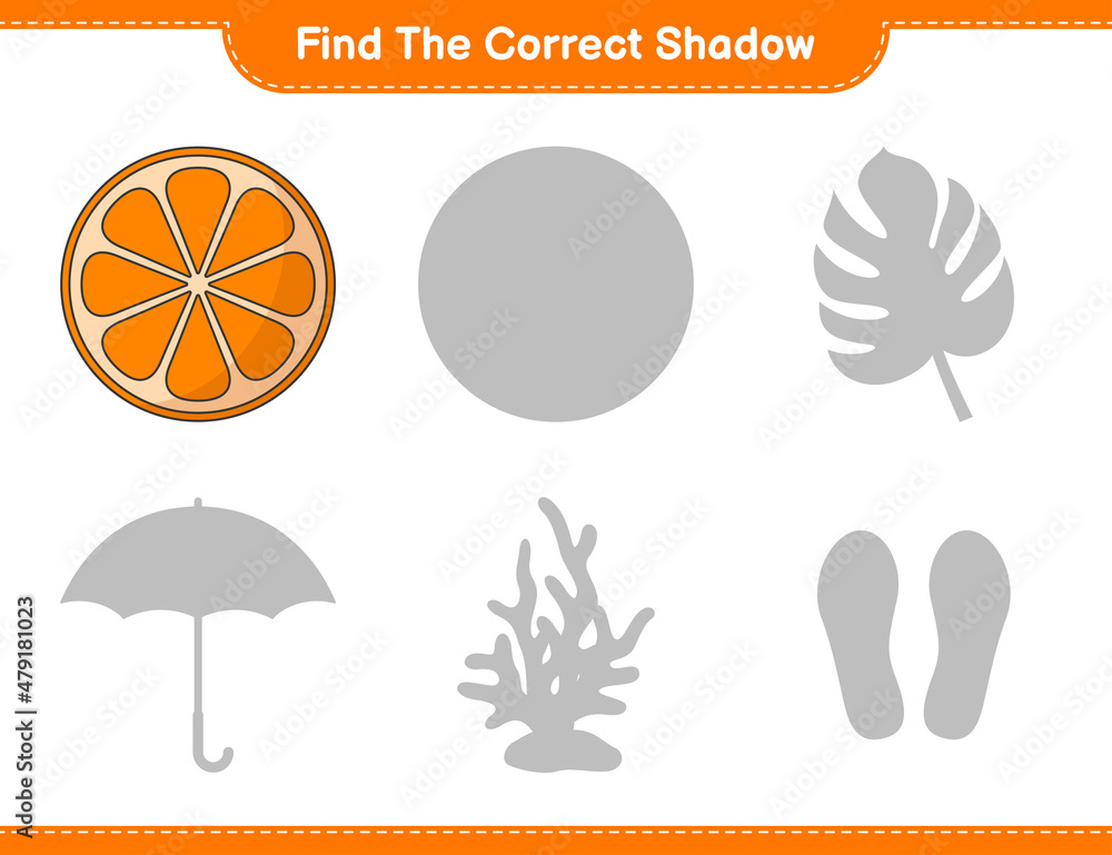 Find the correct shadow. Find and match the correct shadow of Orange ...
